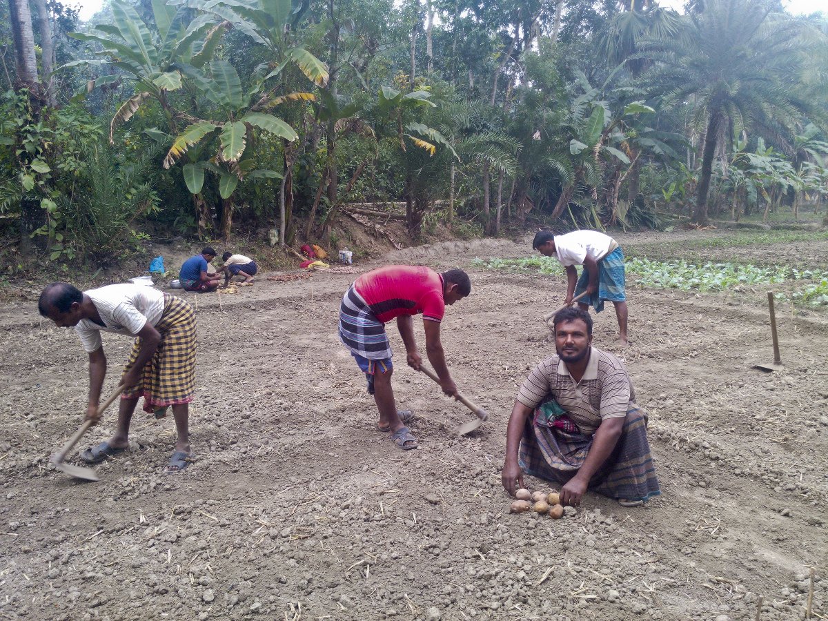 ‘The Key to Success: Farms Provide Free Agro-Advice Using Satellite ...